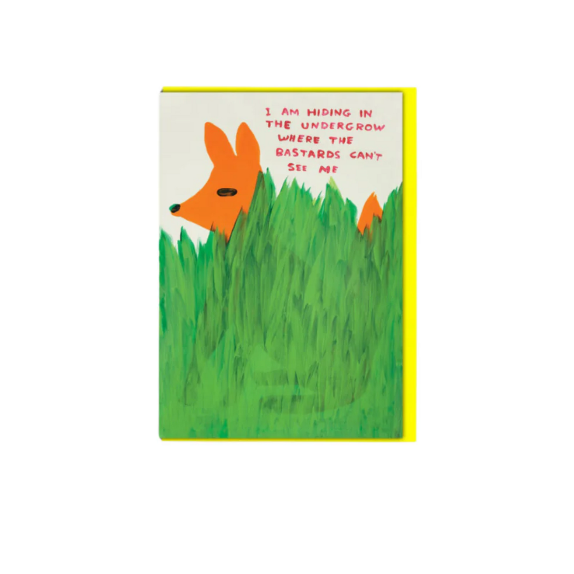David Shrigley – Baltic Shop