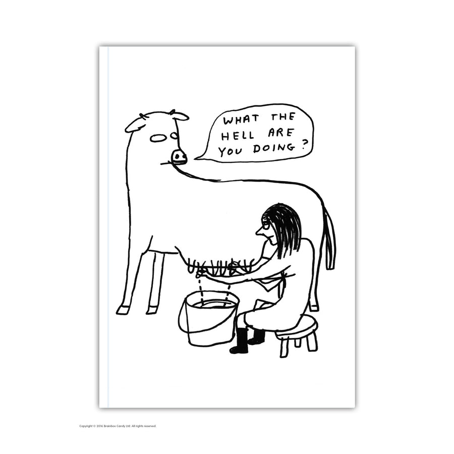 David Shrigley Notebooks - BALTIC Shop